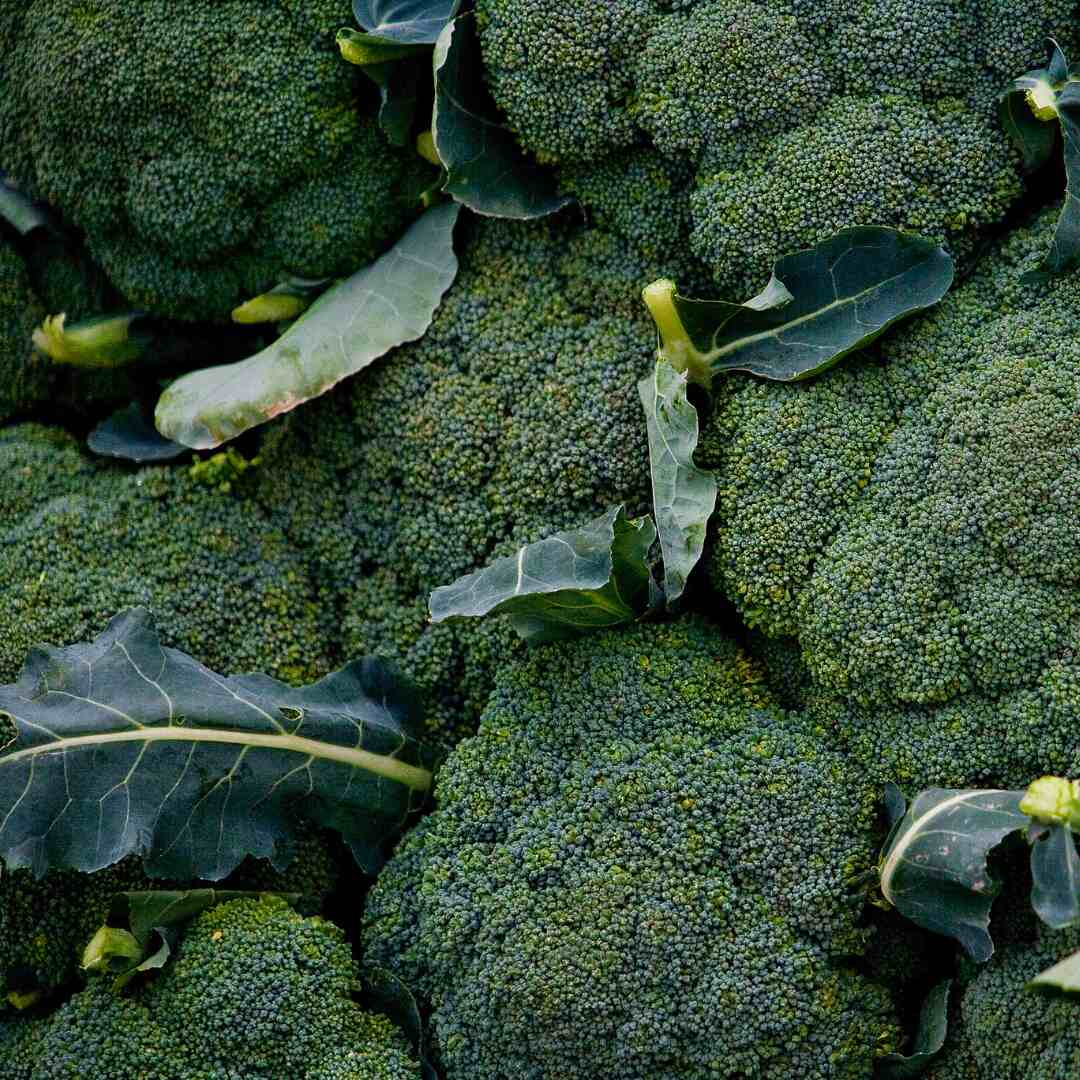 Jake Biggs | Nutritionist Sydney | Sports Nutritionist